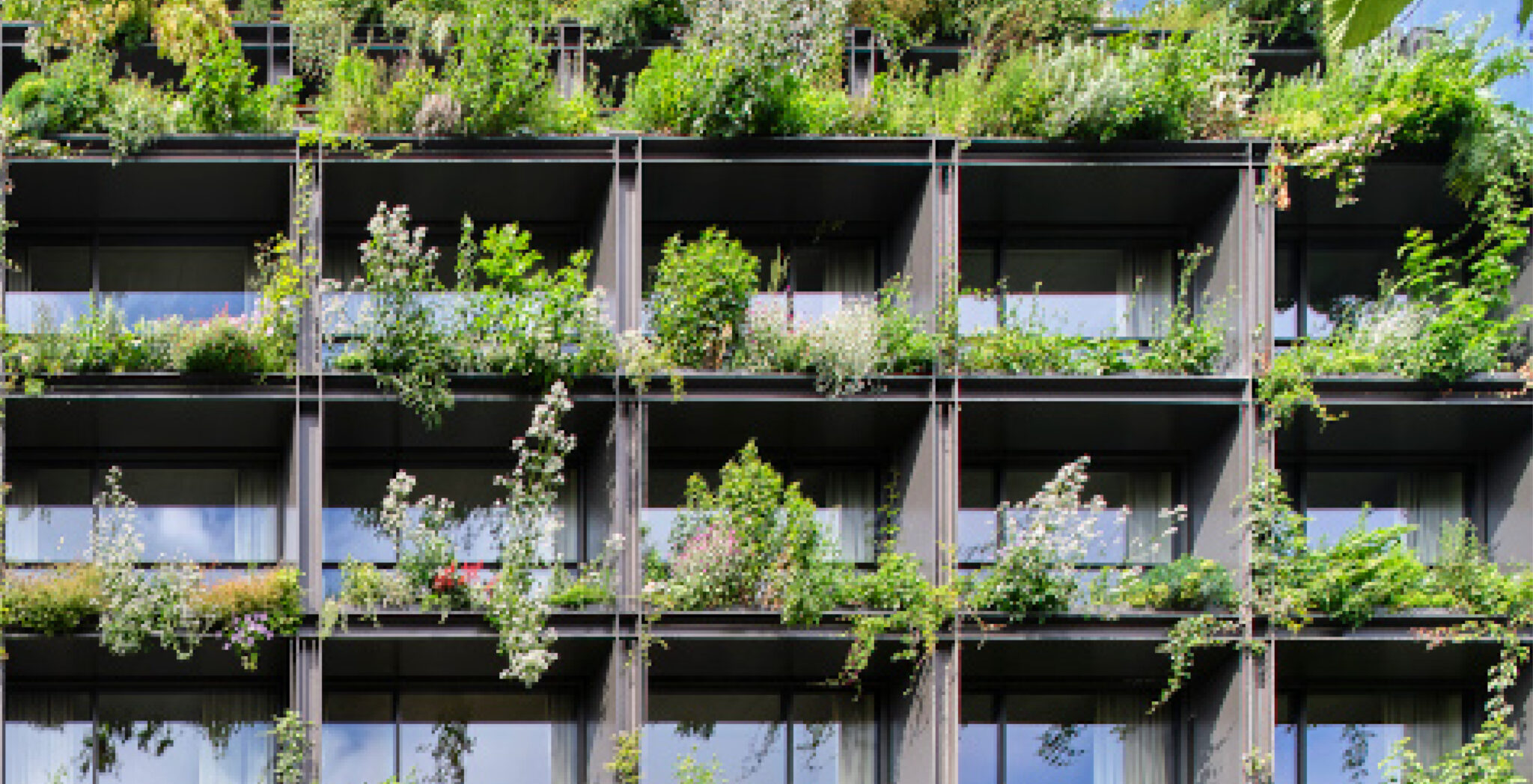 Fabriquant Mur végétal, Jardinière Sur Mesure, Garde Corps Végétalisé ...