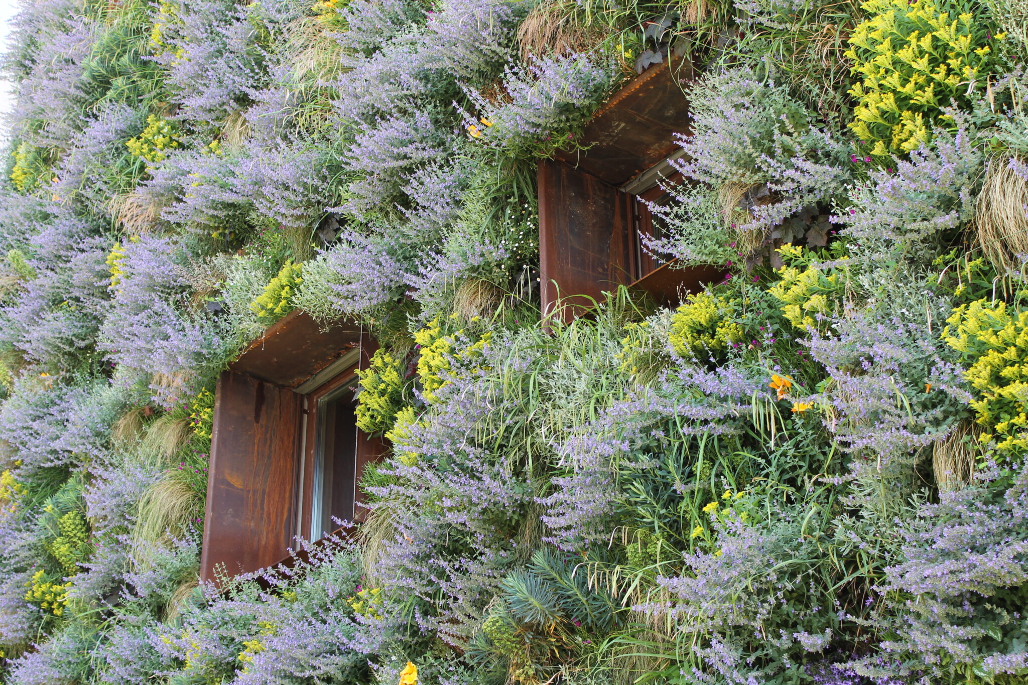 Fabriquant Mur végétal, Jardinière Sur Mesure, Garde Corps Végétalisé ...